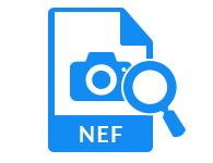 Free NEF Viewer Application to Open NEF File in Windows OS